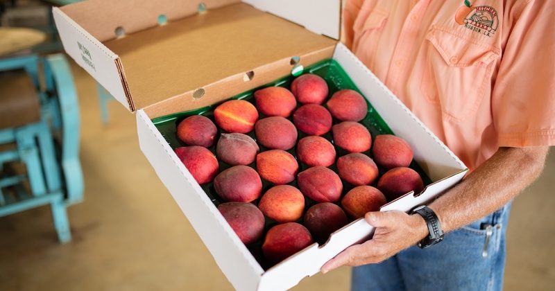 Where to Get Ruston Peaches | Experience Ruston