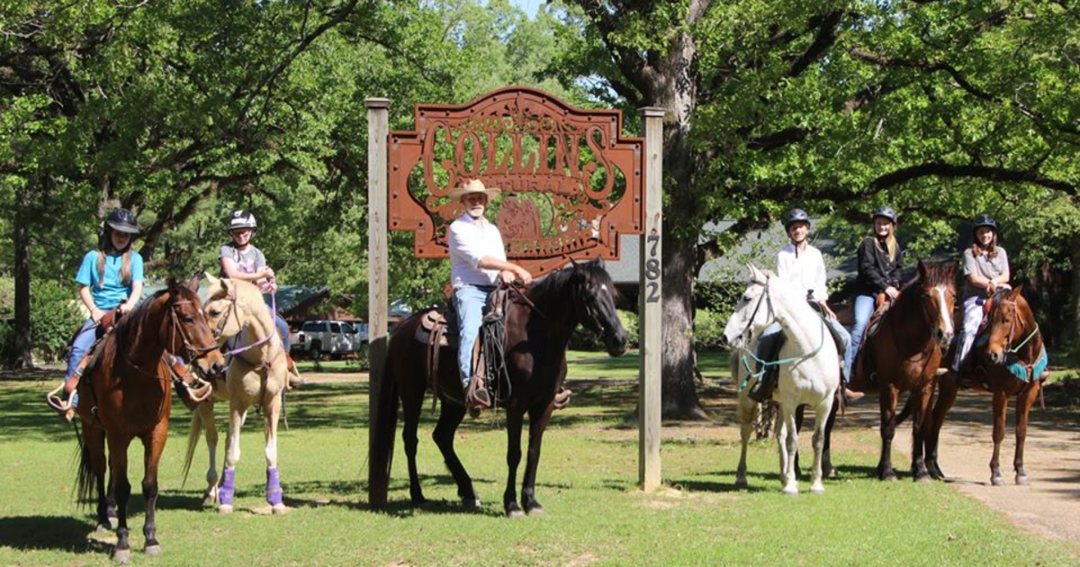 Collins Natural Horsemanship | Experience Ruston
