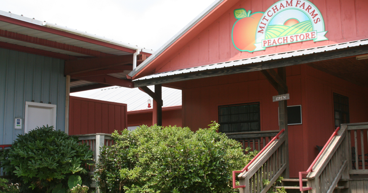 Mitcham Farms and Orchard | Experience Ruston